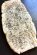 Chebe Lemon Poppy Seed Biscotti - Chebe Recipes